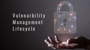 The Vulnerability Management Lifecycle | Overview
